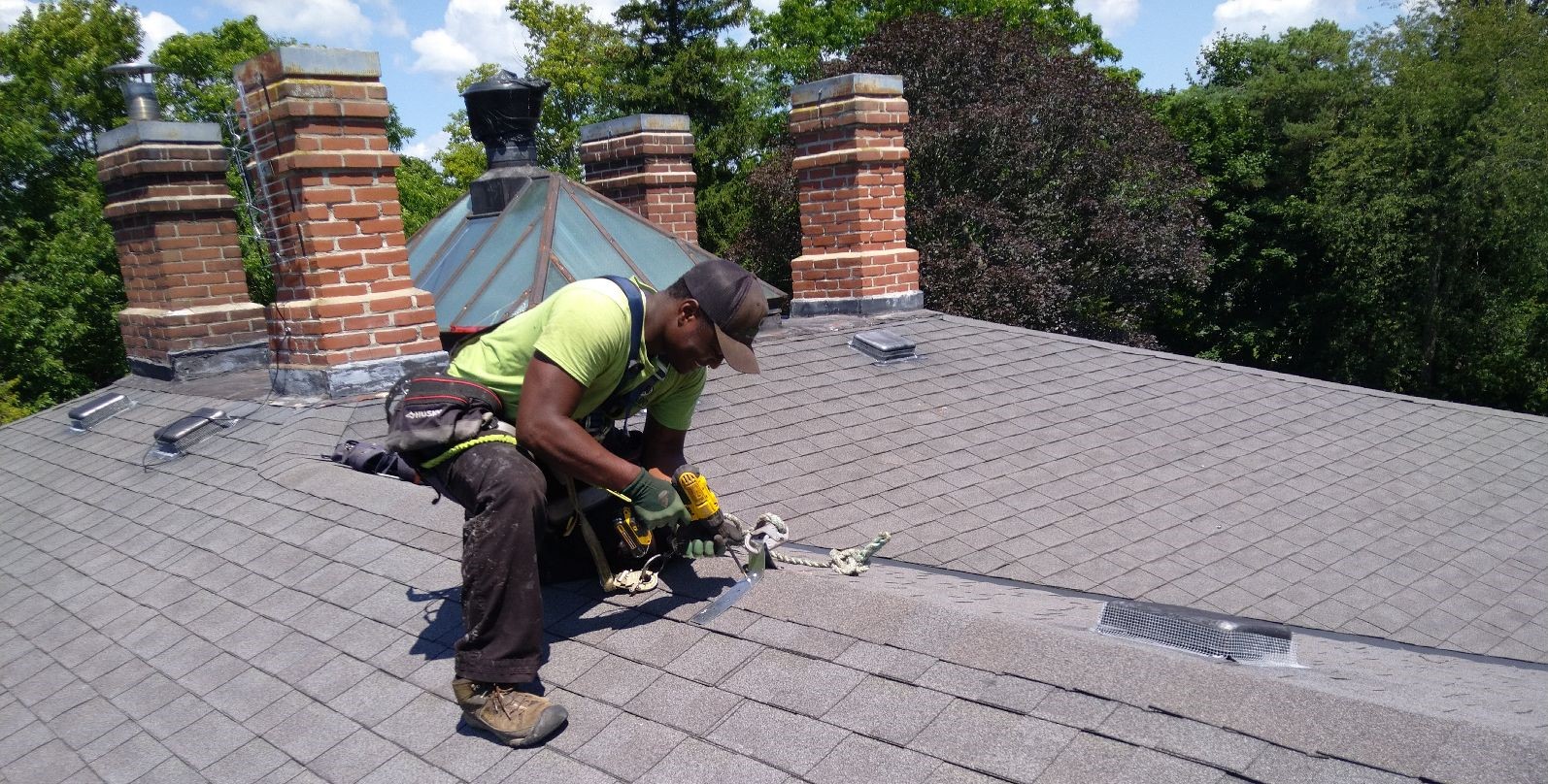 Bats Prevent and Protect | Skedaddle Humane Wildlife Control