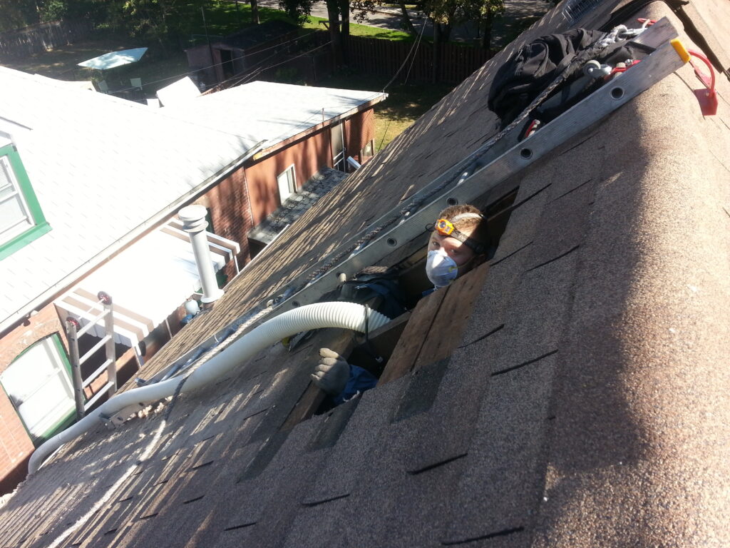 How to safely clean a raccoon latrine?