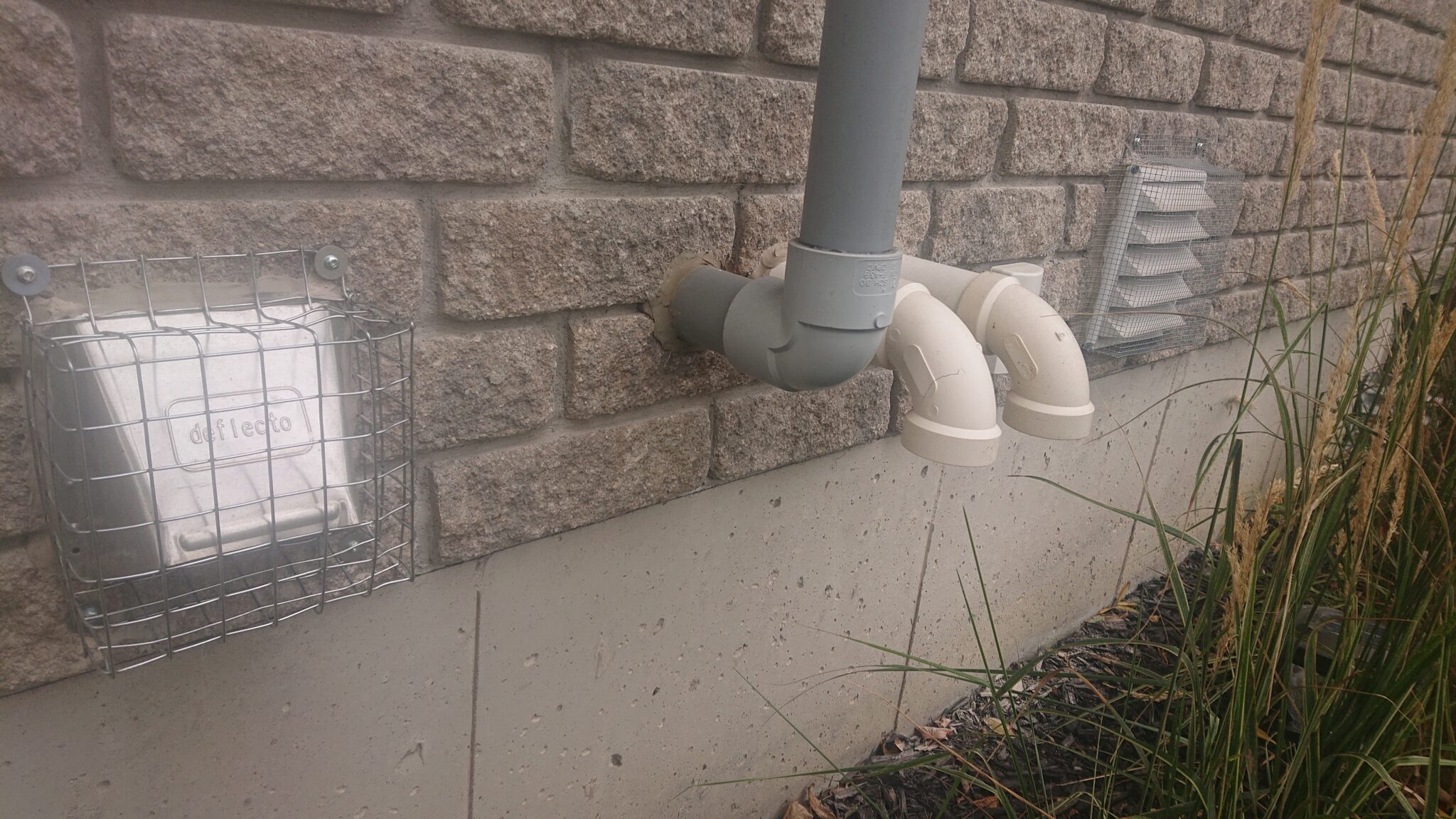 Why Do Birds Nest Inside Vents?