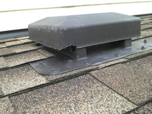 How are Mice Getting in My House