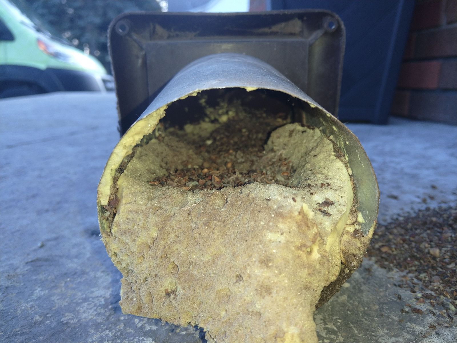 Signs There are Mice in Your Duct Work