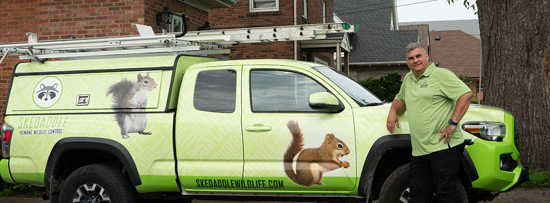 Calvert County - Skedaddle Humane Wildlife Control