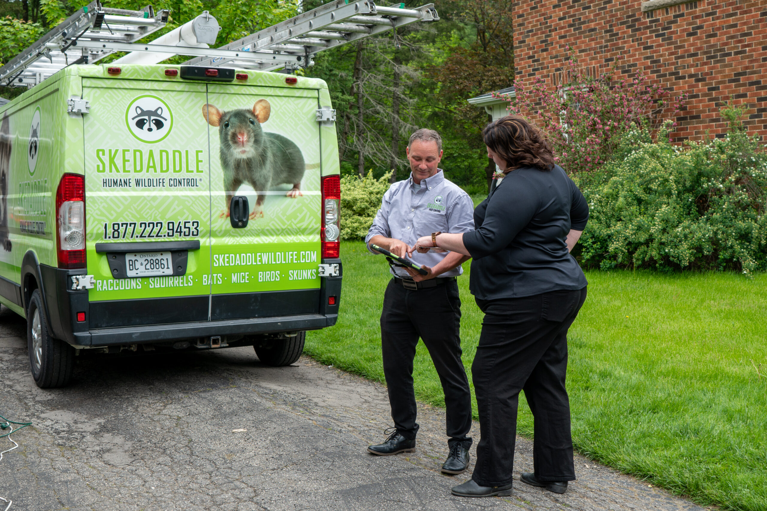 Humane Wildlife Removal in Elora & Fergus | Skedaddle