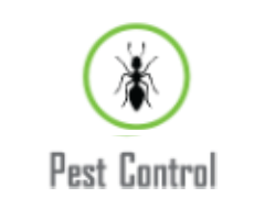 Remove Bats From Your House | Skedaddle Wildlife Control