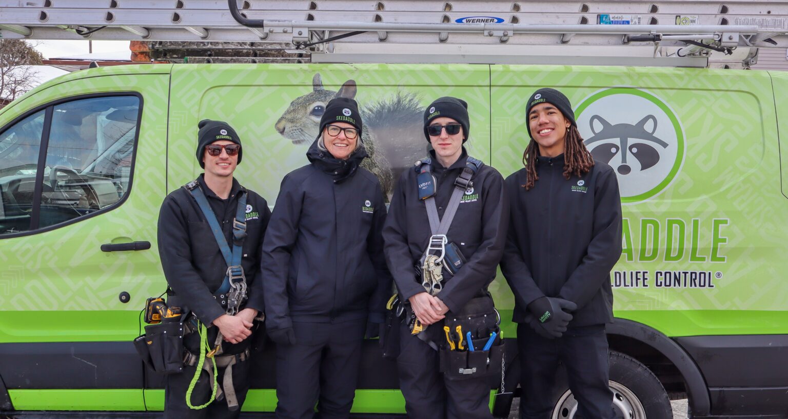 Humane Wildlife Removal in Denver | Skedaddle