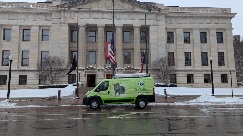 Bird Droppings And Vent Blockages | Skedaddle Ohio